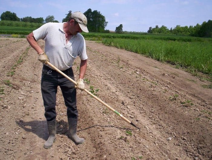 #386: Why Is It Important to Hoe the Weeds? - Ron R. Kelleher