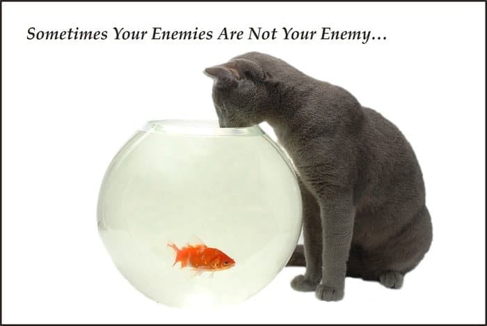 #278: Sometimes Your Enemies Are Not Your Enemy - Ron R. Kelleher