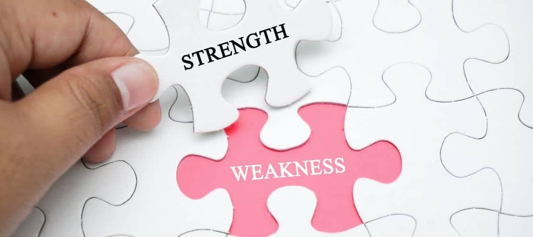 #572: Strengths and Weaknesses in Focus: A Holistic Approach for ...
